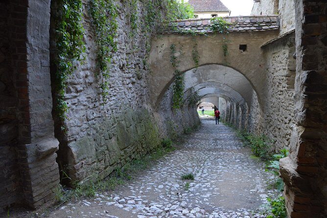 Exclusive tour: Sighisoara, Medias and Biertan tour from Sibiu - Who Would Love This Tour?