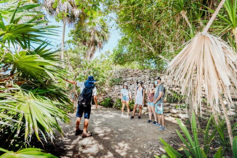 Exclusive Tulum & Coba Ruins Private Tour with Lunch - The Sum Up