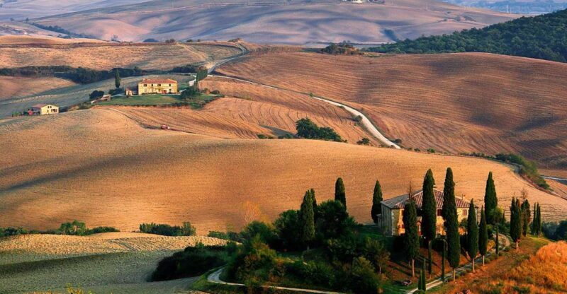 Exclusive Val dOrcia Full-Day Wine Tour from Florence - Key Points