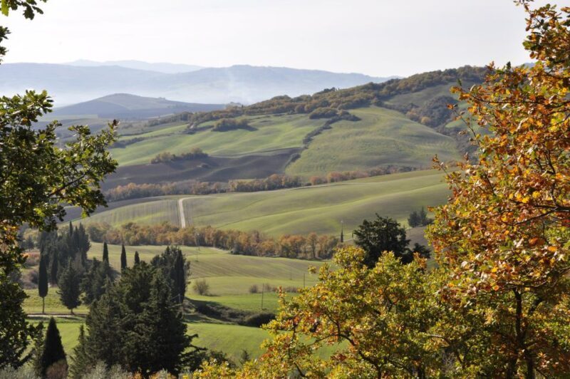Exclusive Val dOrcia Full-Day Wine Tour from Florence - Pricing and Value