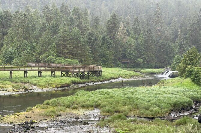 Exclusive Van Experience - What Makes the Experience Stand Out?