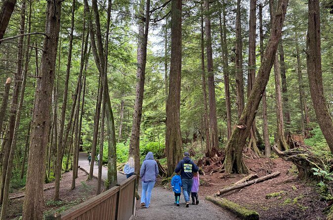 Exclusive Van Experience - Accessibility and Practicalities