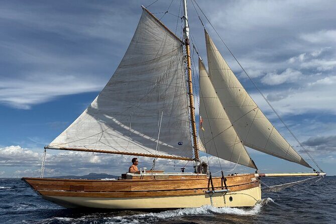 Exclusive walk through the best coves of the Bay of Palma - Who Might Want to Consider Alternatives?