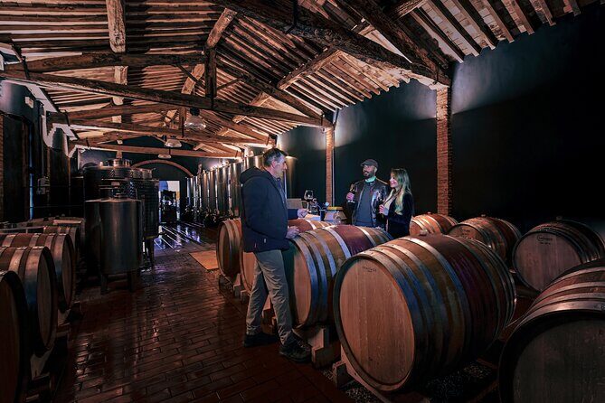 Exclusive Wine Tour and Tasting Experience in Siena - A Deeper Look at the Experience