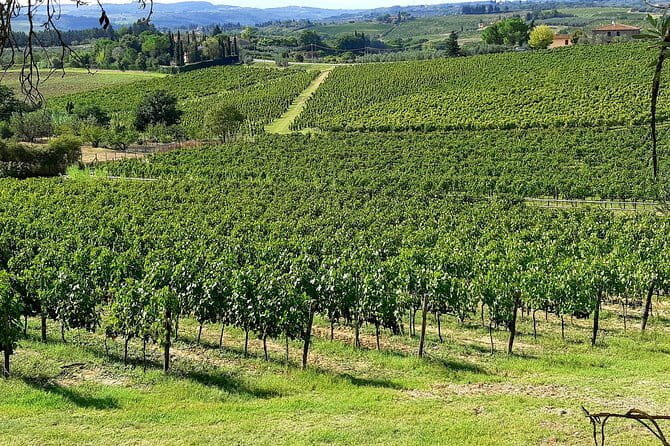 EXCLUSIVE Wine Tour in Chianti & San Gimignano (Lunch & Wine Tasting included) - Who Will Love This Tour?