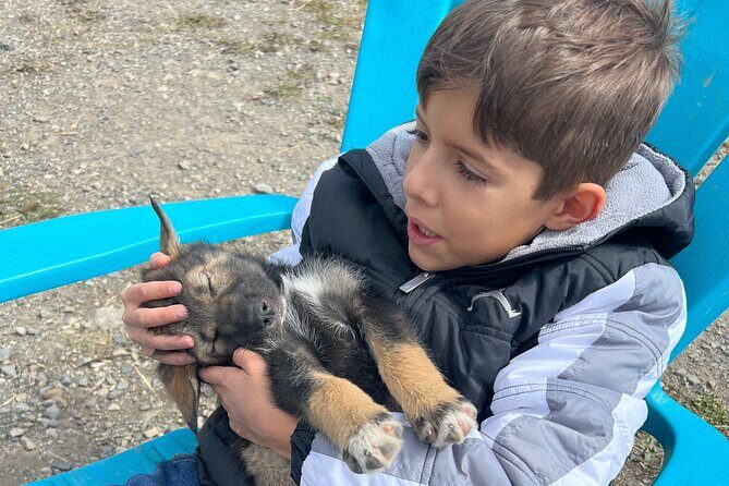 Exclusive Yukon Full-Day Tour with Dog Mushing Adventure - Crossing Into Canada and Reaching Emerald Lake