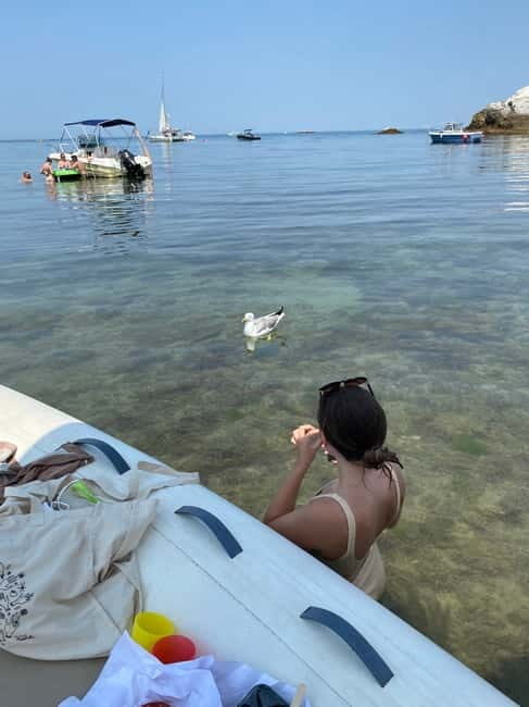 Excursion Bateau Biarritz, Pays basque - Authentic Experiences and Reviewer Insights