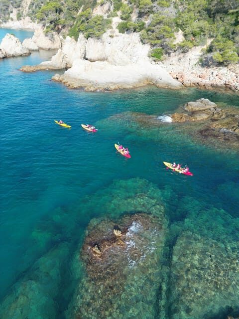 EXCURSION GUIADA EN KAYAK - INICIACIÓN 1h 15m - The Experience: What to Expect on the Kayak Tour