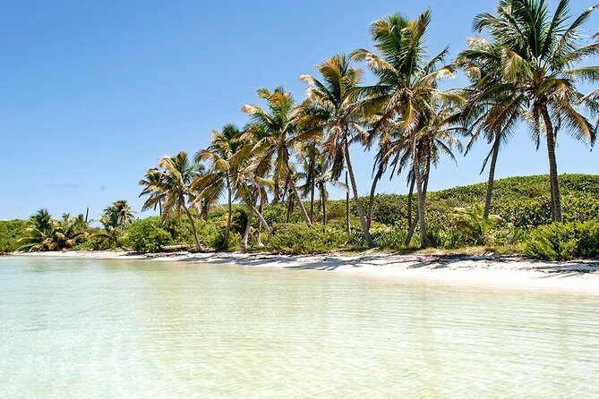 Excursion Isla Contoy & Isla Mujeres from Cancun