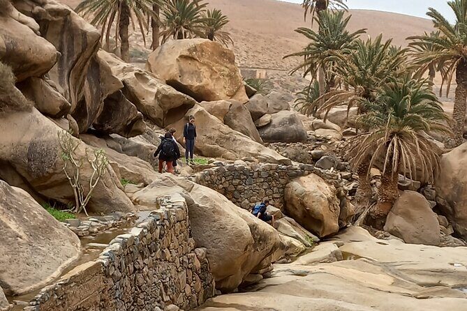 Excursion to Ajuy Caves with a secret Las Penitas canyon Hike - Introduction: Why This Tour Is a Must-Do in Fuerteventura