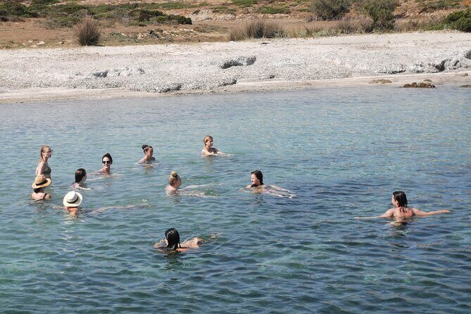 Excursion to Asinara Stintino La Pelosa National Park - Analyzing the Price and Experience Value