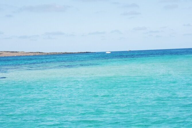 Excursion to Asinara Stintino La Pelosa National Park - The Sum Up