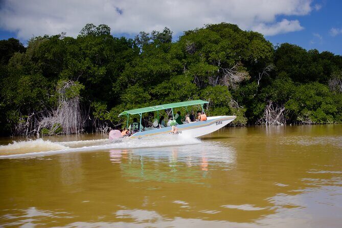 Excursion to Celestun Biosphere and Beach Day from Merida - Frequently Asked Questions
