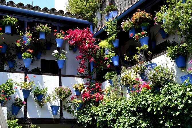 Excursion to Córdoba from Malaga - Key Points