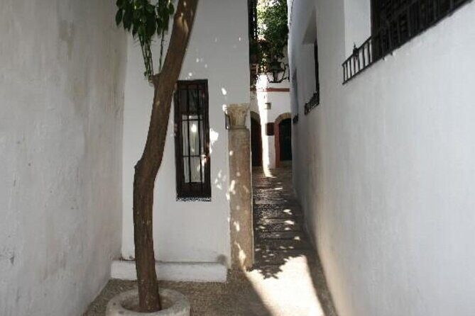 Excursion to Córdoba from Malaga - Practical Tips for Your Day Trip