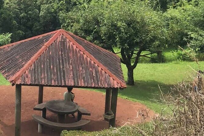 Excursion to Furnas and Nordeste with Cozido das Furnas - The Best of São Miguel in One Day
