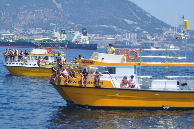 Excursion to Gibraltar with Dolphin Watching from Malaga - The Itinerary in Detail