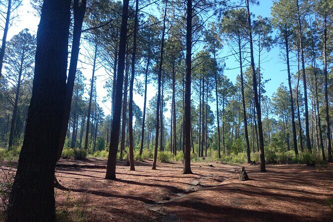 Excursion to La Cima de La Malinche from Mexico City - Final Thoughts: Is This Tour Worth It?