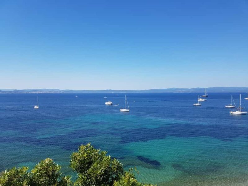 Excursion to Porquerolles Island from Bandol - Introduction