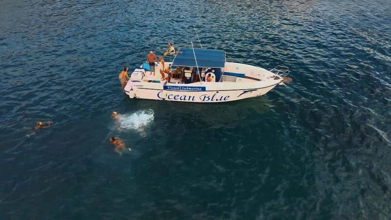 Excursion to see the whales - 3 Hours - A Deep Dive into the Whale Watching Experience in Tenerife