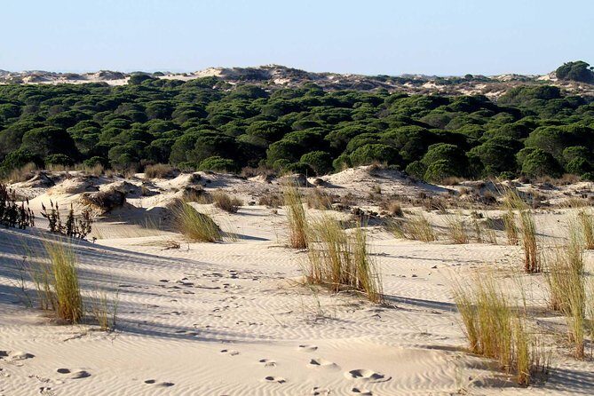 Excursion to the beaches of Huelva from Seville - Private tour - Transportation & Comfort