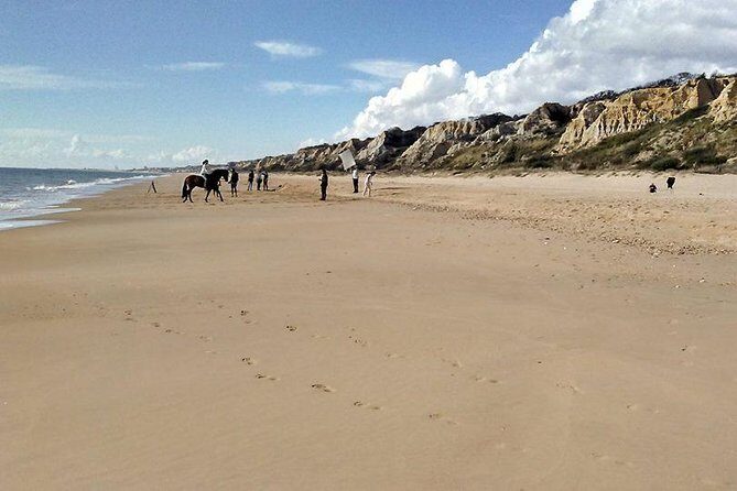 Excursion to the beaches of Huelva from Seville - Private tour - Reviews & Authentic Insights
