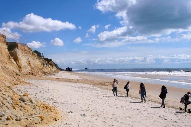 Excursion to the beaches of Huelva from Seville - Private tour - The Sum Up