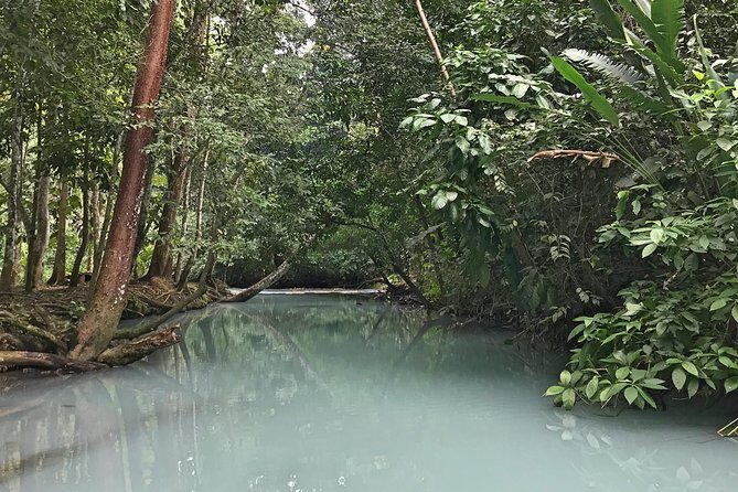 Excursion to Waterfalls of Villaluz and Tapijulapa "Magic Town" - Who Should Book This Tour?