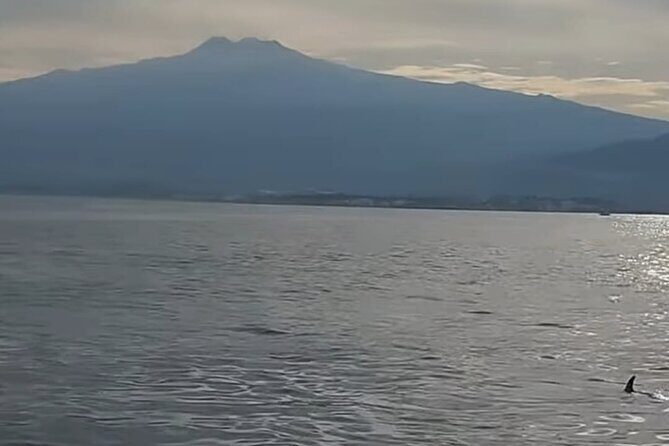 Excursions by boat: Gardens Naxos-Taormina-Isola Bella-DELFINI - Practical Tips for Travelers