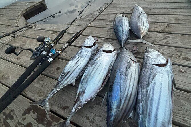 Exit fishing wholesale - What to Expect from the Tour in Detail