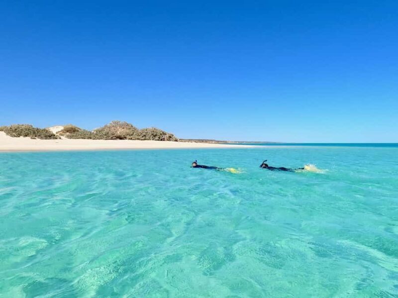 Exmouth: Guided Ningaloo Reef Snorkel Adventure - FAQ