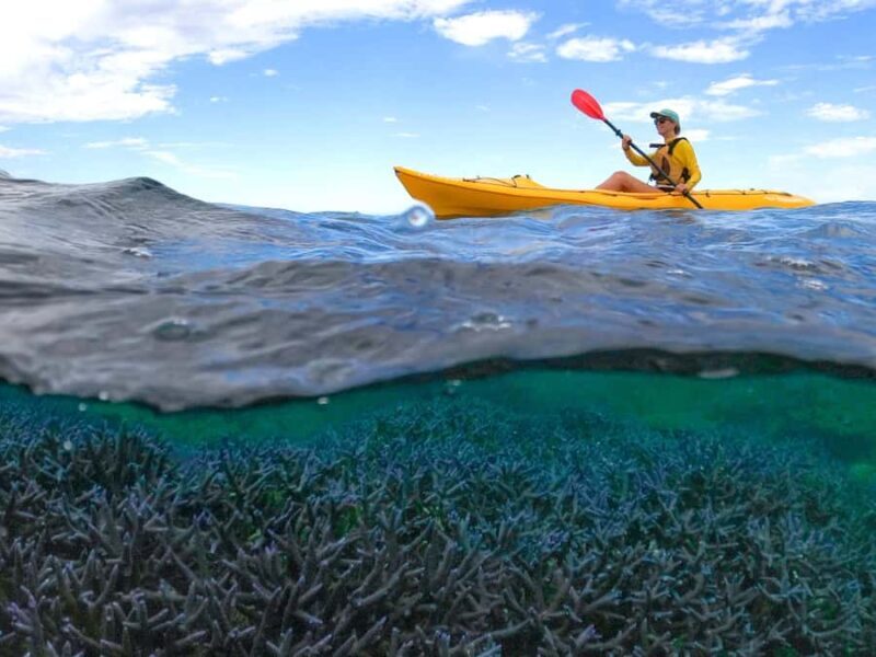 Exmouth: Half Day Coral by Kayak tour - Exmouth: Half Day Coral by Kayak Tour — A Balanced Look at an Underwater Wonderland