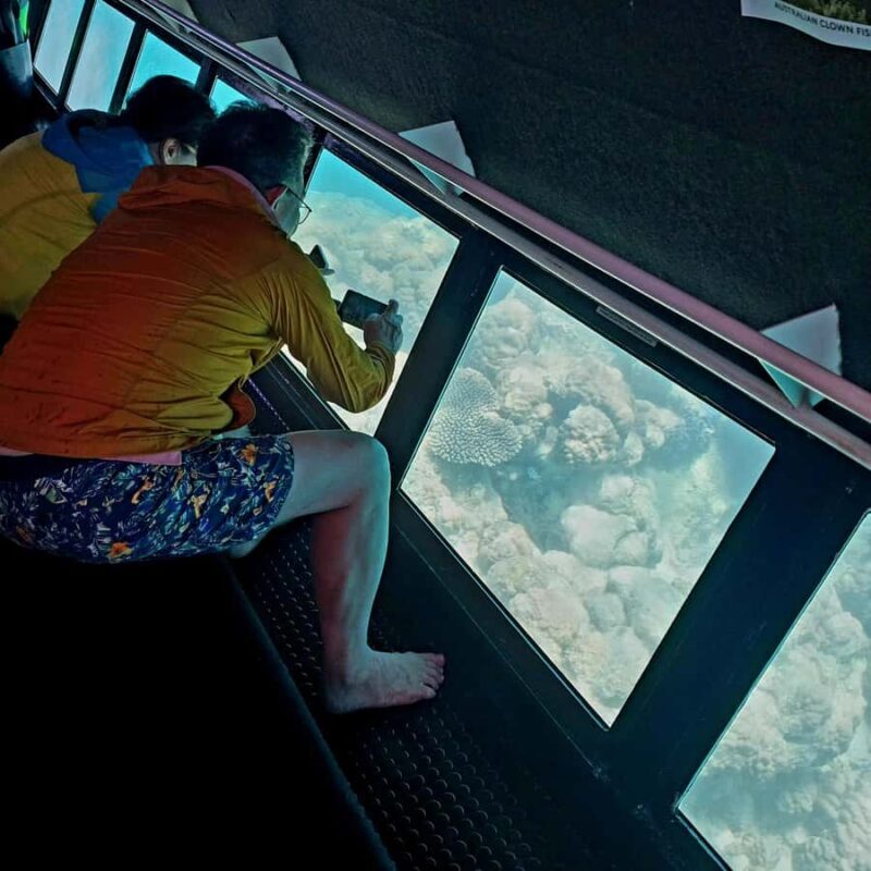 Exmouth: Ningaloo Semi-Submersible Glass Bottom Boat Tour - Authentic Insights from Reviewers