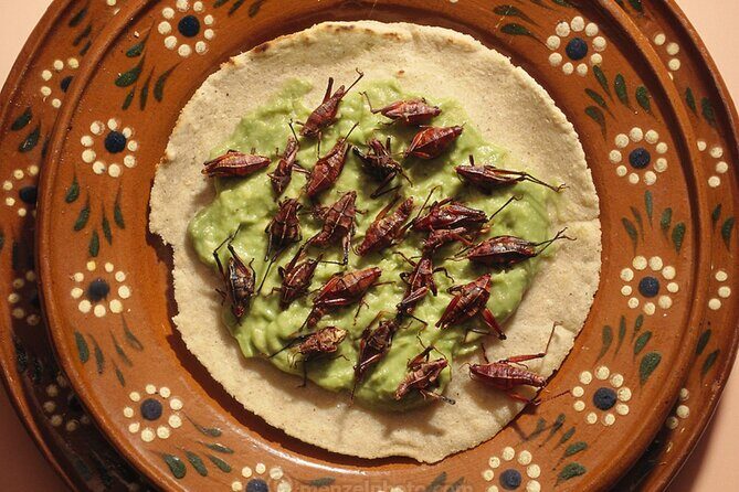 Exotic Food Tasting: Taste the Unexpected - Introduction