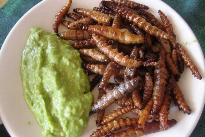 Exotic Food Tasting: Taste the Unexpected - The Sum Up