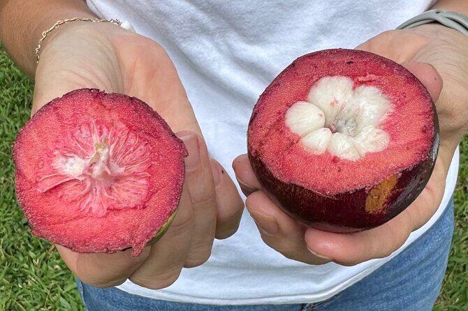 Exotic Fruit Tasting Tour in Kona - Deep Dive into the Exotic Fruit Tasting Tour  