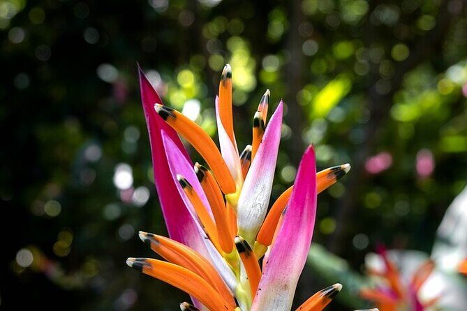 Exotic Garden EN Rancho Ecoturístico - An Overview of the Tour Experience