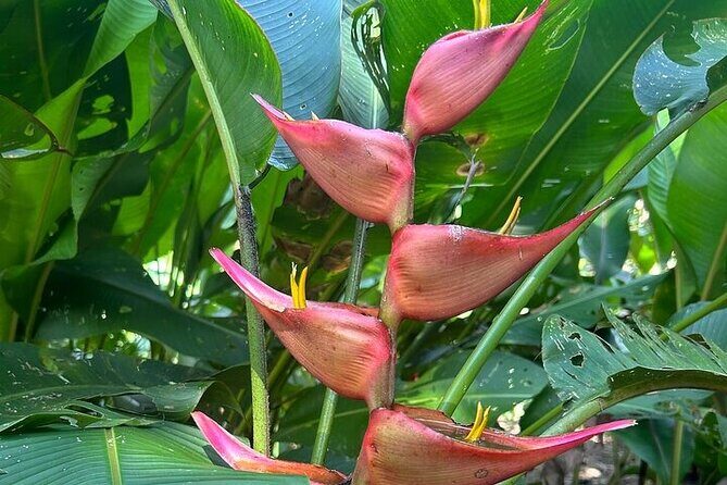 Exotic Garden EN Rancho Ecoturístico - The Regional Lunch and Tasting Experience