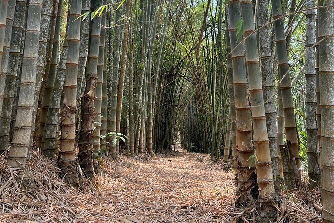 Exotic Garden EN Rancho Ecoturístico - Who Would Love This Tour?