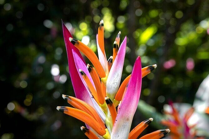 Exotic Garden EN Rancho Ecoturístico - FAQ