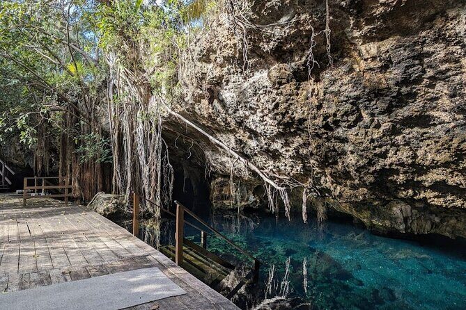 Exotik half a day tour: Cenote Cave and Swimming with Sea Turtles - Authentic Experiences and Practical Tips
