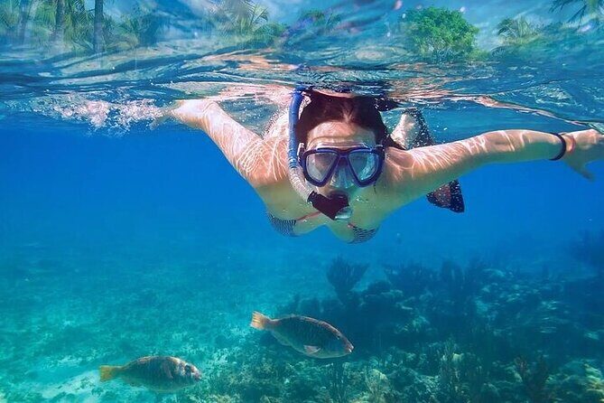 Exotik half a day tour: Cenote Cave and Swimming with Sea Turtles - Final Thoughts