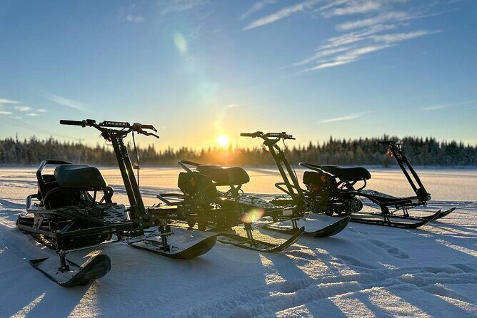 Expedition "INTO THE WILD" Safari and Lunch in Glass Igloo - Practical Aspects and What You Need to Know