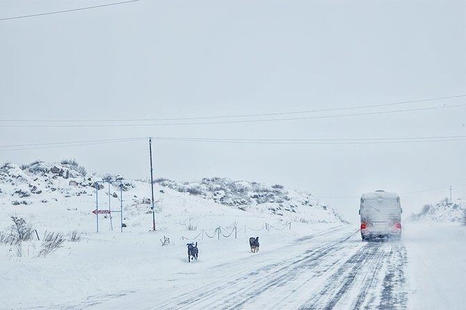 Experience Armenia - Day Trip from Tbilisi - Who is This Tour Perfect For?