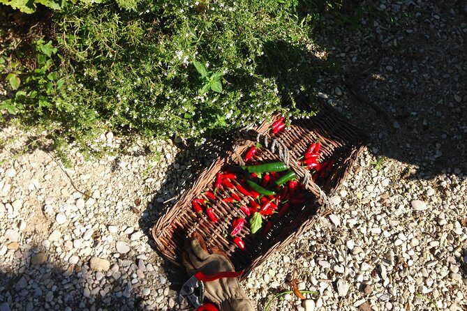 Experience Authentic Belgian Cuisine: Cooking Lesson and Meal with a Ghent Local - The Sum Up