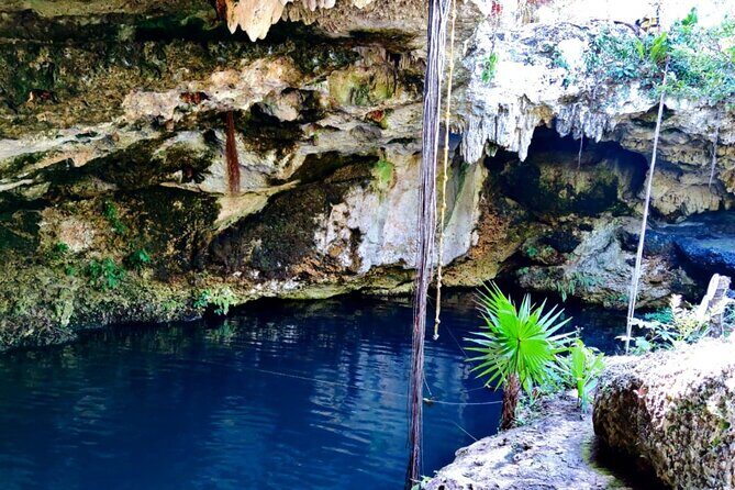 Experience Cancun's Hidden Gems, Mayan museum, cenote & Market 23 - Authentic Experiences and Local Insights