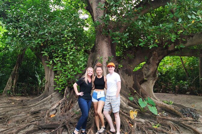 Experience Cancun's Hidden Gems, Mayan museum, cenote & Market 23 - How Does This Tour Compare in Value?