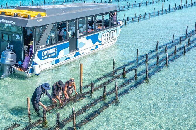 Experience Coffin Bay Oyster Farm and Bay Tour - Key Points