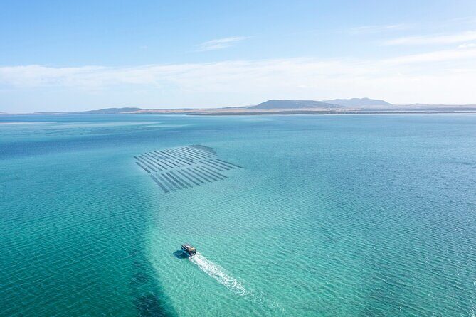 Experience Coffin Bay Oyster Farm and Bay Tour - What to Expect from the Experience