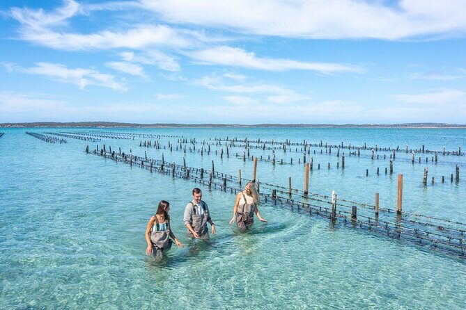 Experience Coffin Bay Oyster Farm and Bay Tour - Is It Worth the Price?